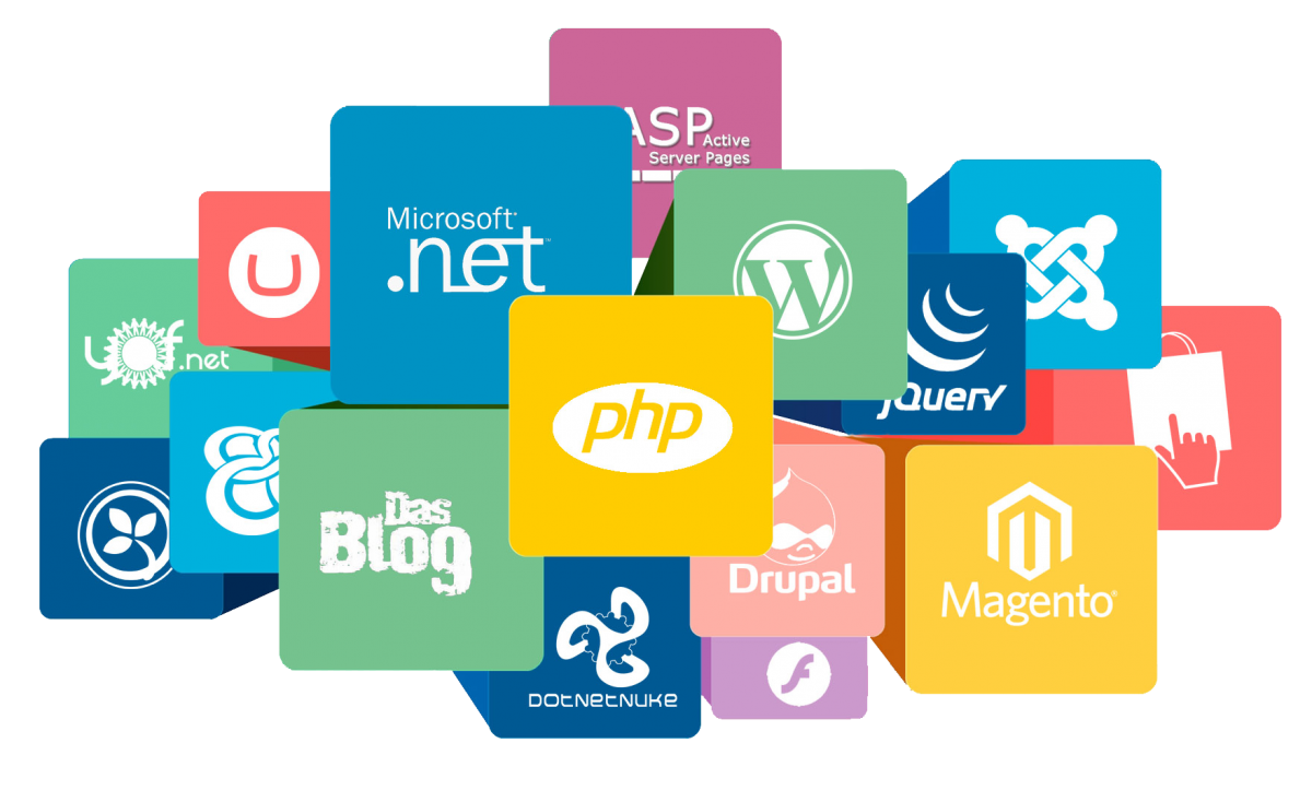 ARS NETWORK: Leading IT Solutions in Canada and Malaysia